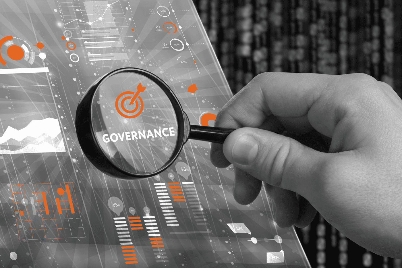 Governance Advisory Services - Framework & Structure | Centium